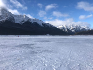 Spray Lakes Reservoir Fishing - Alberta Fishing Report