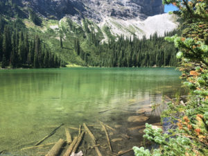 Lillian Lake Fishing - Alberta Fishing Report