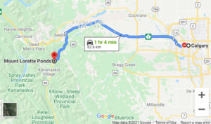 Mount Lorette Ponds Fishing - Alberta Fishing Report