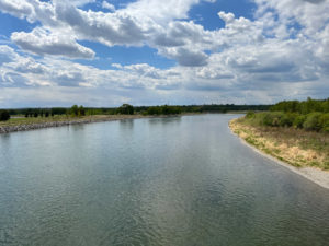 Bow River Fishing - Alberta Fishing Report