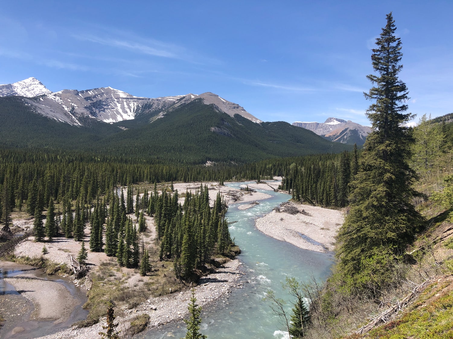 Elbow River Fishing - Alberta Fishing Report