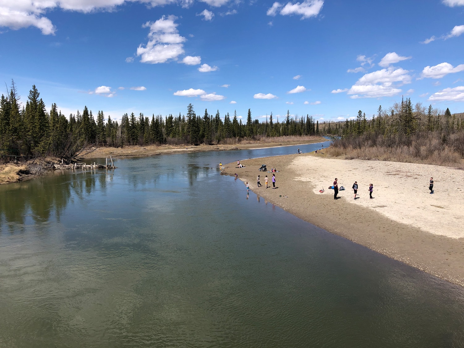 Elbow River Fishing - Alberta Fishing Report