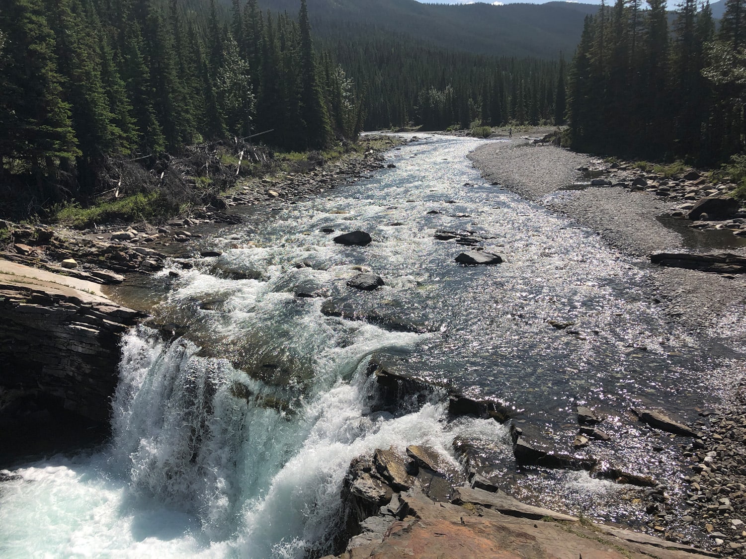 Sheep River Fishing - Alberta Fishing Report