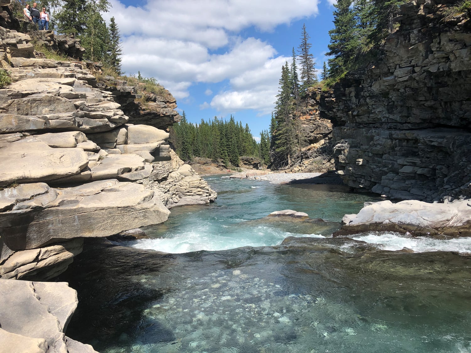 Sheep River Fishing - Alberta Fishing Report
